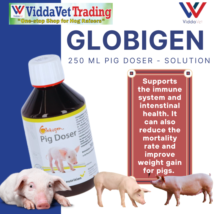 250ml Globigen Pig Doser immune booster for pigs livestock piglets ...