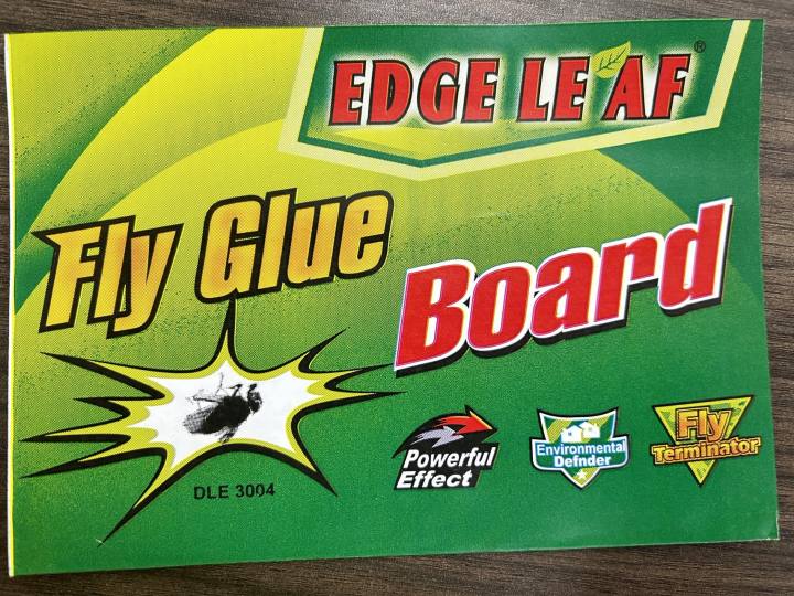 10pc Fly Catcher Glue Board Fly Trap Board Traps Fruit Flies Kitchen ...