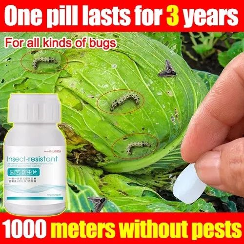 {FREE SHIPPING} 10 years no pest insecticide spray 200 pieces of ...