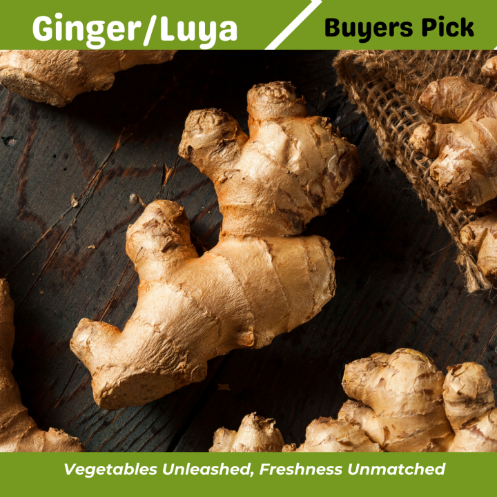 Fresh Ginger Luya Laya from Benguet 100g | Lazada PH