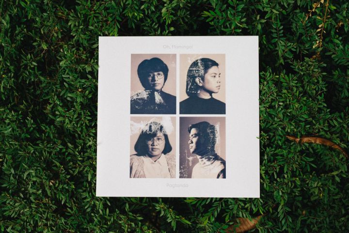 Oh, Flamingo! - Pagtanda (White Vinyl) | Vinyl LP Plaka The Grey Market ...