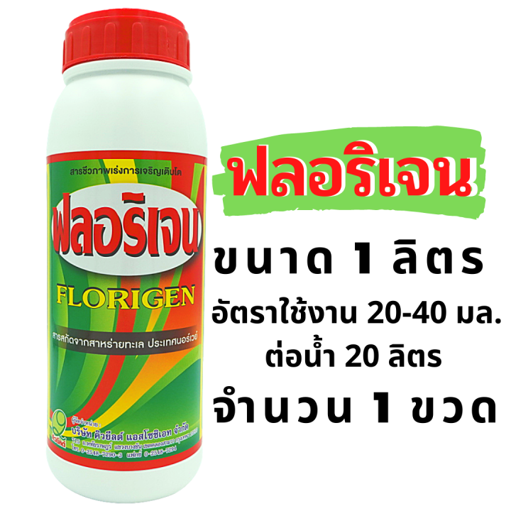ฟลอริเจน Florigen สาหร่ายทะเลเข้มข้นจากนอร์เวย์ เร่งแตกตา แตกราก ติดดอก ...