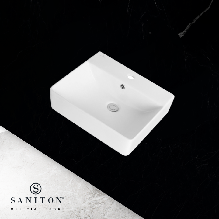 SANITON Dandelion SB1312-AB Anti-Bacterial Wall Hung Basin | Lazada ...