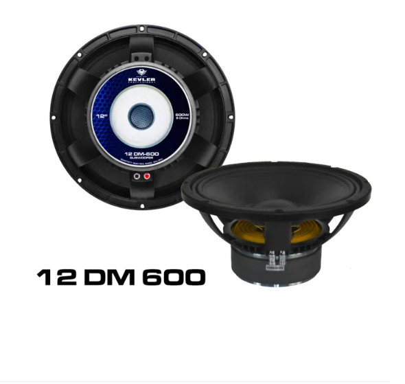 Kevler Professional 12 DM-600 Professional Dual Magnet Subwoofer Driver Bass Speaker | Lazada PH