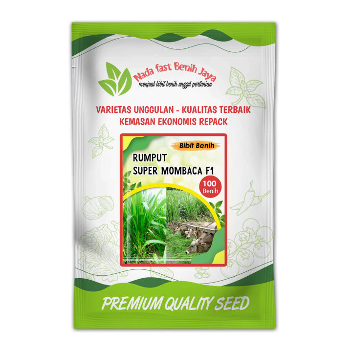 Benih Rumput mombaca super F1 - bibit pakan ternak kambing dan sapi ...
