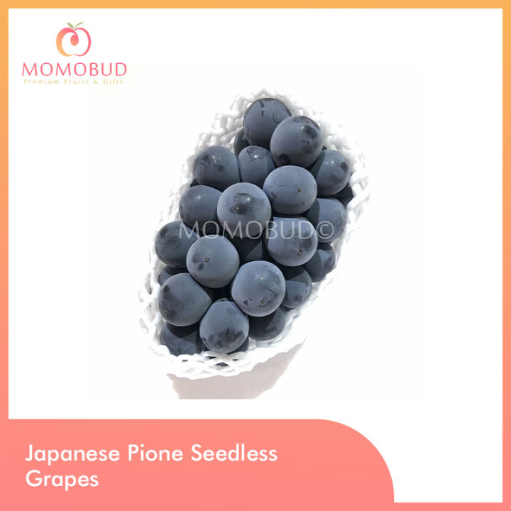 Japanese Pione Seedless Grapes | Lazada Singapore