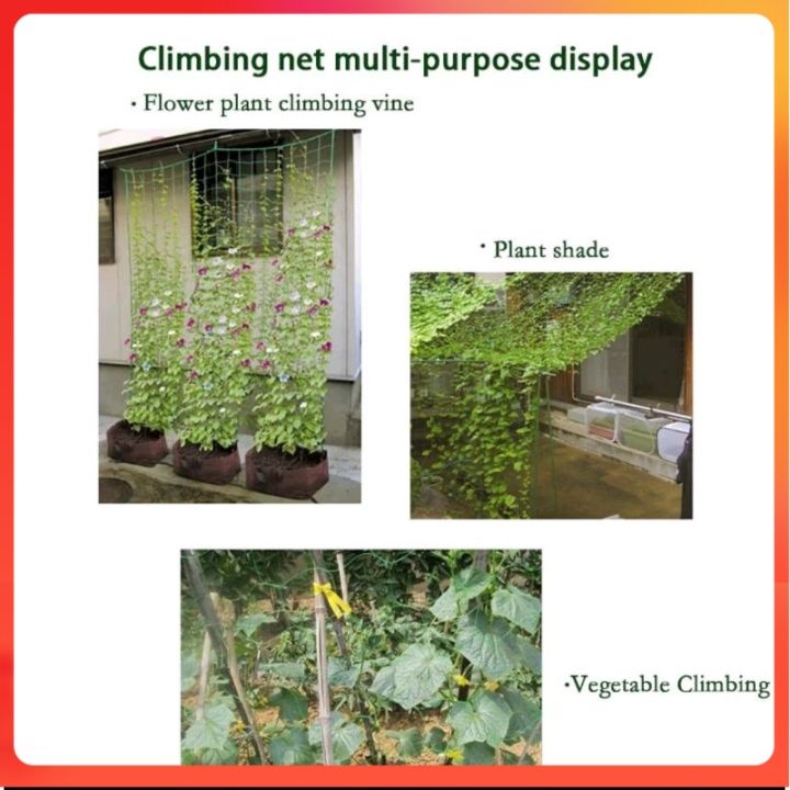 Jaring rambatan tanaman 3,2mx1,5m jaring rambatan anggur jaring ...