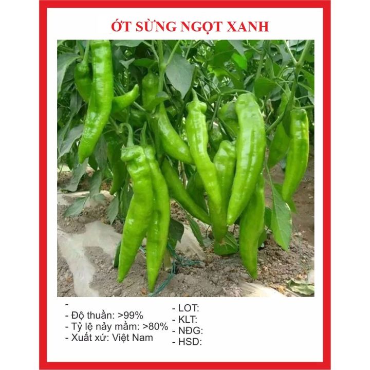 Hạt giống ớt sừng ngọt xanh Hàn Quốc (10 hạt) - nhiều dinh dưỡng, chịu ...