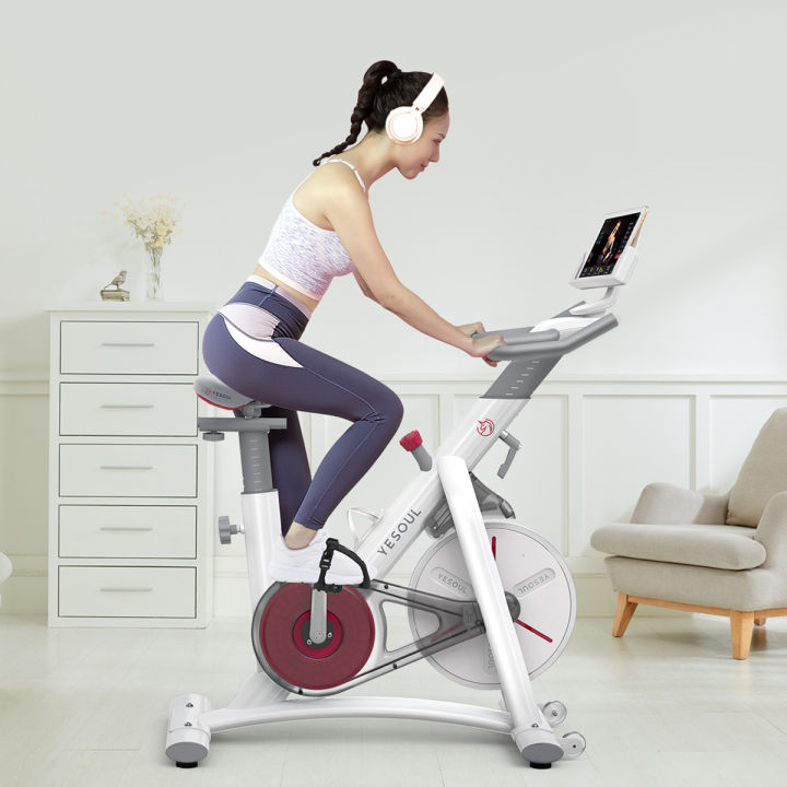Yesoul Exercise Bike S3 [ Belt-Drive, Magnetic Resistance, 7.5kg ...