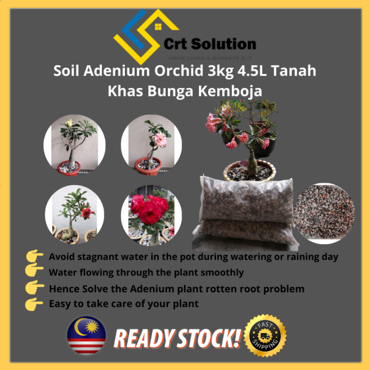 Tanah Khas Tanah Bunga Kemboja Batu Bunga Adenium Orchid Soil Lava Stone 富贵花空气泥 3kg 4.5L | Lazada