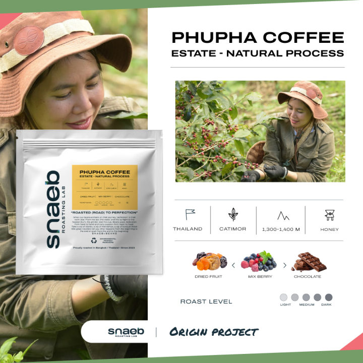 Phupha Coffee Estate - Natural Process | เมล็ดกาแฟคั่ว คั่วอ่อนไปทางกลาง Snaeb Coffee | Lazada.co.th