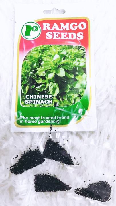 Appr. 300 seeds Repacked Ramgo Spinach Seeds 1 gram | Lazada PH