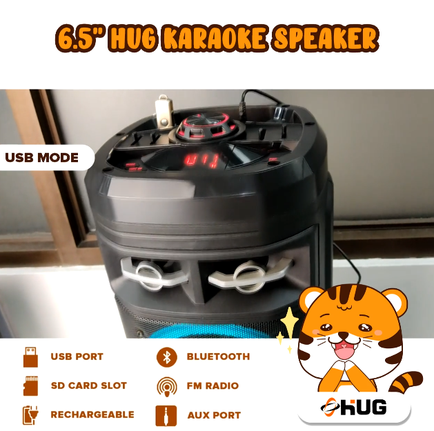 HUG LED Karaoke Dual 6.5“ Speaker Stereo Recorder With Wireless ...