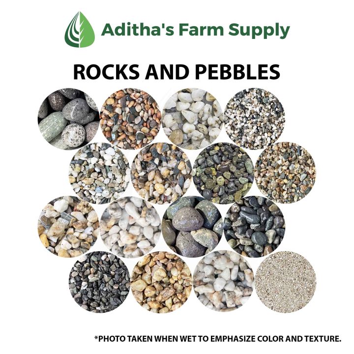 Aditha's Rocks and Pebbles (Selected White, Mindoro Assorted, Mindanao ...