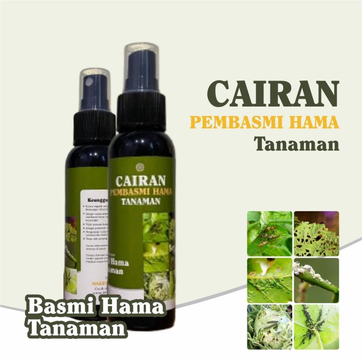 Cairan Pembasmi Hama Tanaman Buah Sayur Spray Basmi Hama Ulat Pohon ...