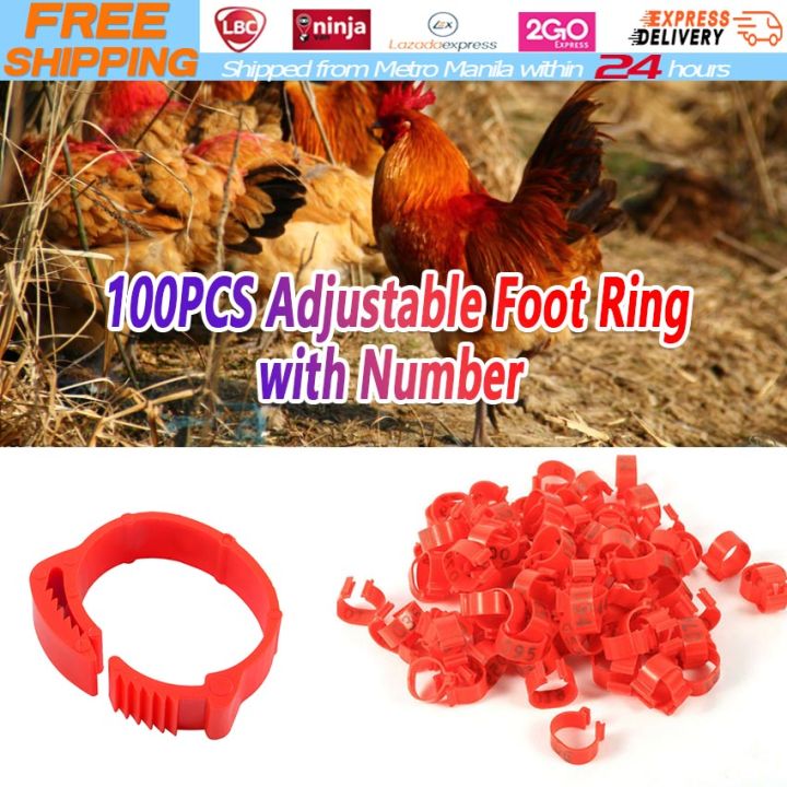 【Local Warehouse】100PCS Chicken Foot Ring Adjustable Size Poultry Leg ...