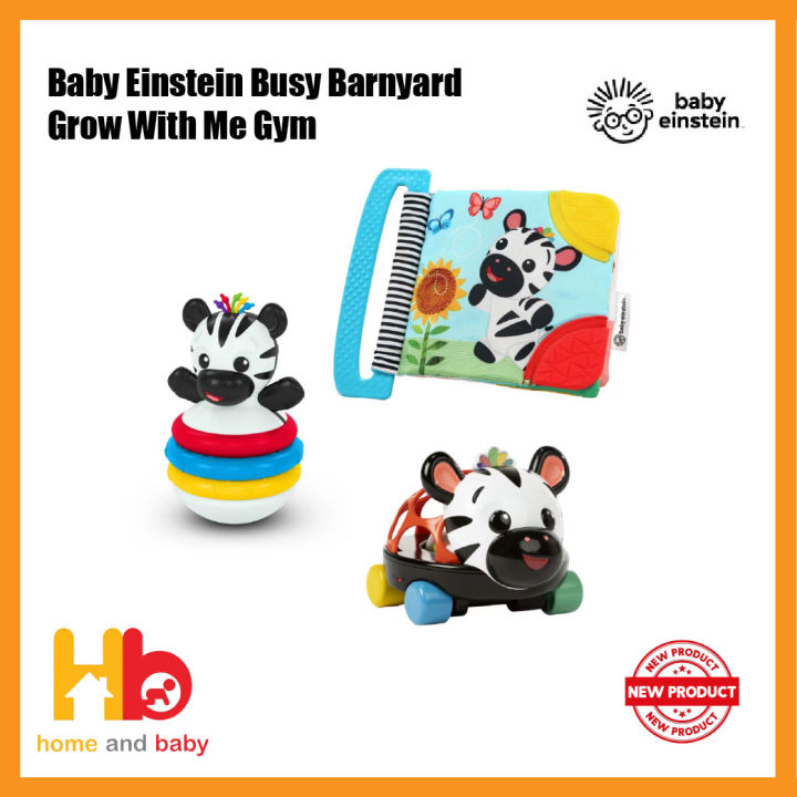 Baby Einstein Zen The Zebra Gift Set | Lazada Singapore