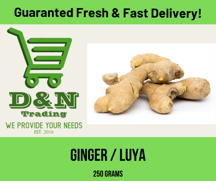 250 grams Ginger Luya Fresh Products Fruits, Vegetables, Meat, Seafood ...
