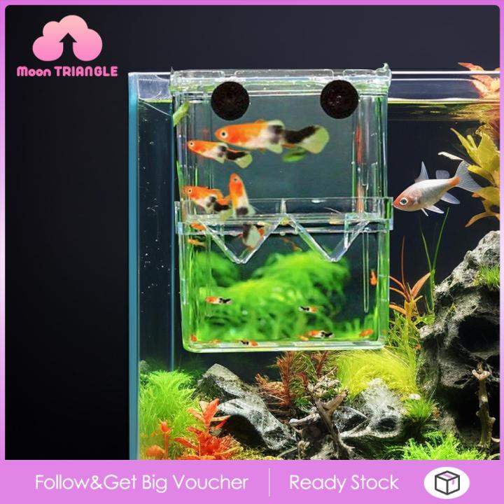 Moon TRIANGLE Hatchery Incubator Breeding Box Acrylic Fish Breeding ...
