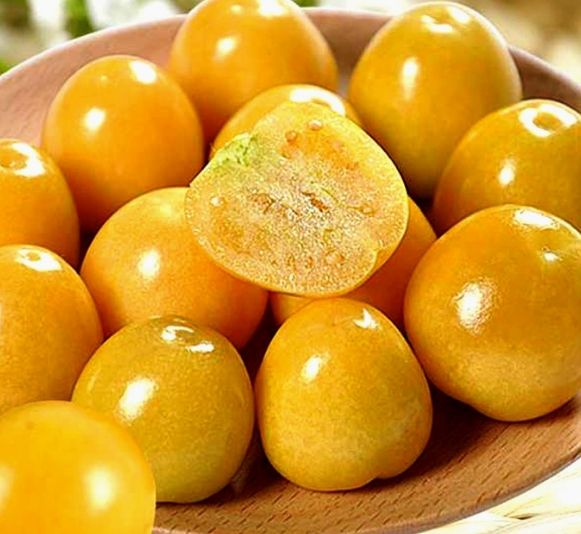 Girl fruit lantern fruit seed seed seed red sweet mushroom Niang four ...