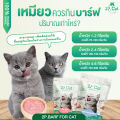 บาร์ฟแมว 2P.Cat - Begin สำหรับแม่แมวและลูกแมว 300g(ขนาด 100 กรัม ด้านใน 3 ซอง) | Lazada.co.th