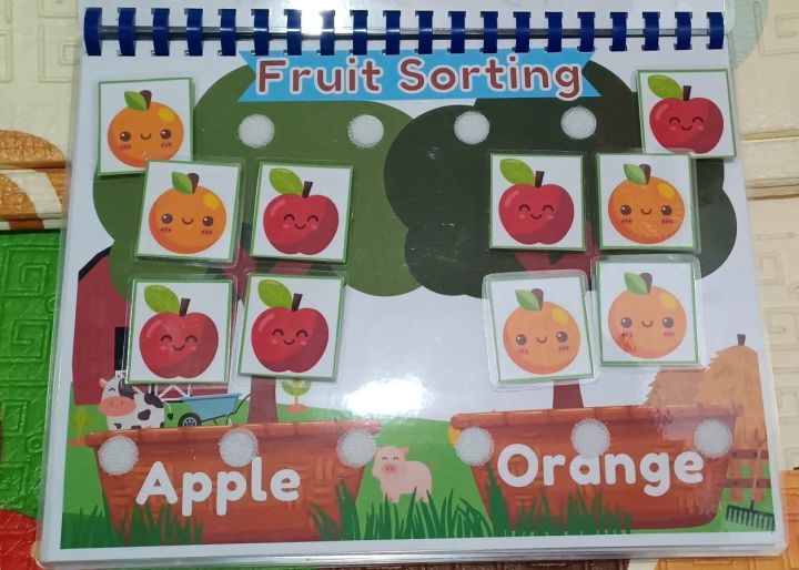 Fruits Color Sorting Interactive Laminated Toddlers / Preschool ...