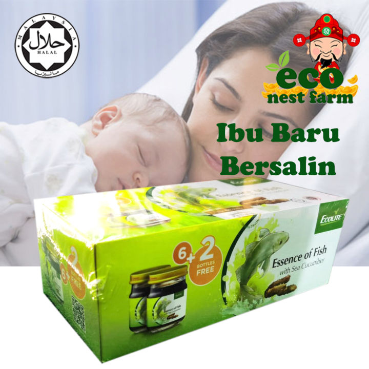 ECOLITE Well Being PATI IKAN DENGAN GAMAT X 8 BOTOL | Lazada