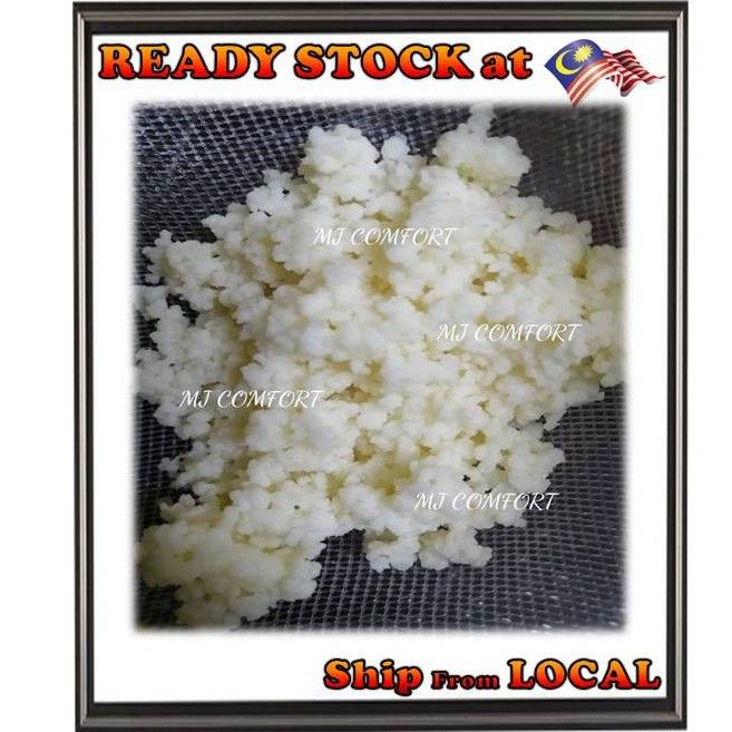 Active Milk Kefir Grains 5g/10g | Lazada