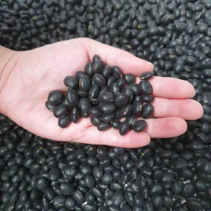 1 KG KEDELAI HITAM SUPER FRESH | Lazada Indonesia
