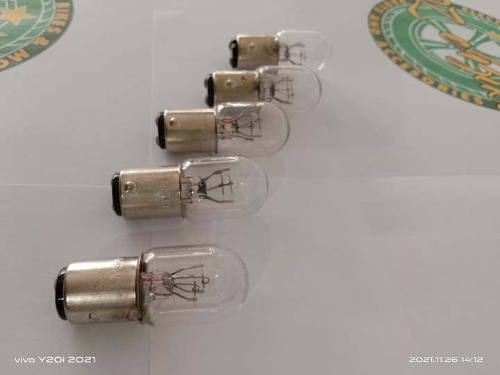 Peanut Bulb (48-55v) 4pcs | Lazada PH