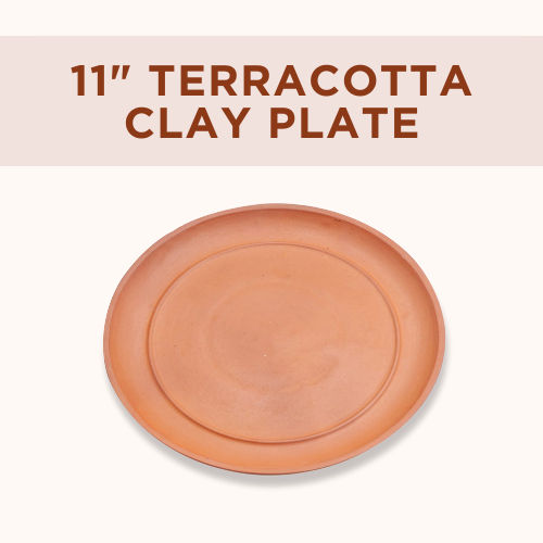 Premium Handcrafted 11-Inch Terracotta Clay Dinner Plate | Artisan-Made ...