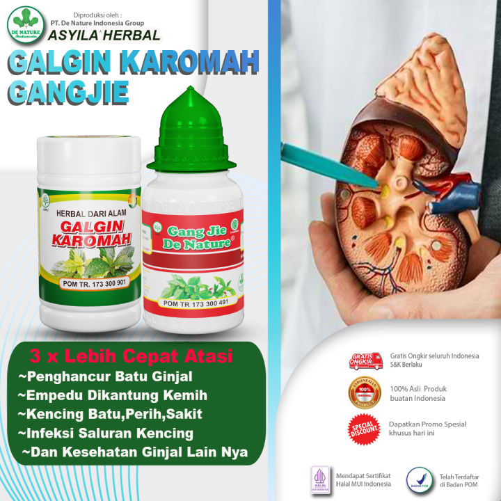 Gangjie Galgin Obat Herbal Batu Ginjal Luruh Empedu Radang Ginjal Kencing Batu Sakit perih Asli ...