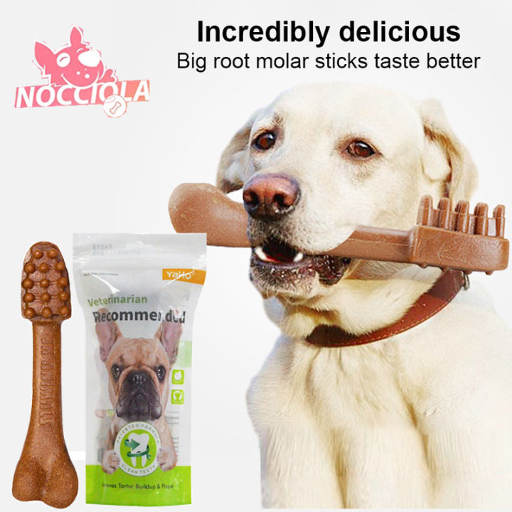 Dog dental chew bone pet molar bone clean oral hygiene | Lazada PH