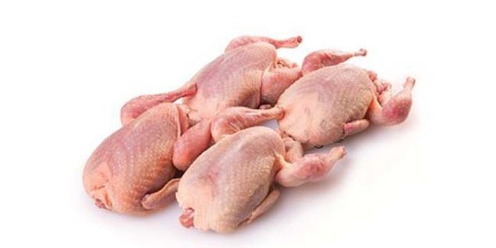 Frozen Daging Burung Puyuh AA | Lazada