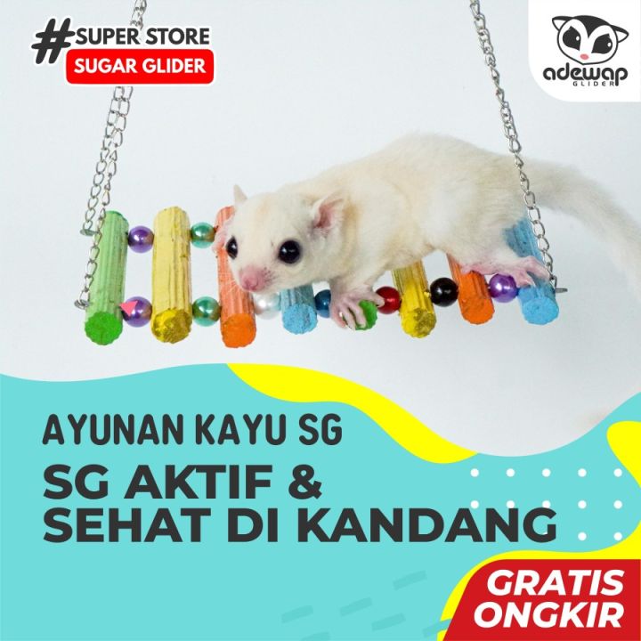 Mainan Ayunan Kayu | Mainan Hewan Sugar Glider Tupai Hamster | Rantai ...