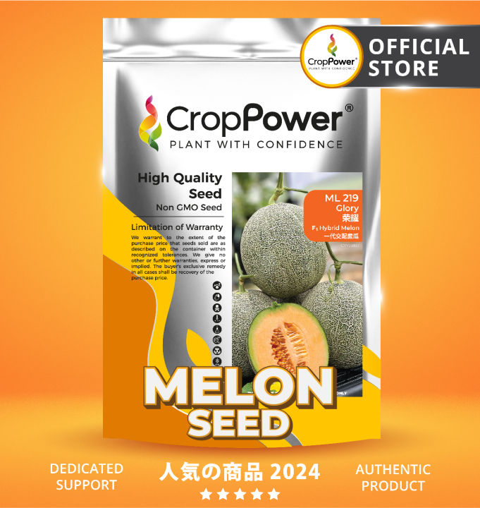 (500 SEEDS) Biji Benih Rock Melon Glory 荣耀 ML219 CROP POWER F1 HYBRID ...