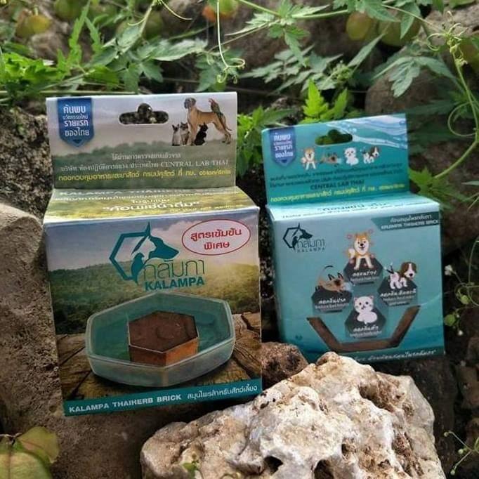 KALAMPA กลัมภา ก้อนสมุนไพรแช่น้ำดื่มสำหรับสัตว์เลี้ยง สำหรับแมวหรือ ...