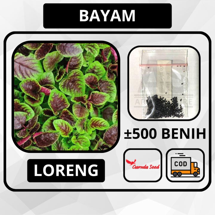 500 Butir - Benih BAYAM LORENG Garuda Seed Bibit Sayuran Tanaman Bayam ...