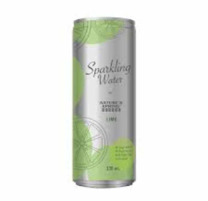 Natures Spring Sparkling Water Lime 24 cans 330ml | Lazada PH