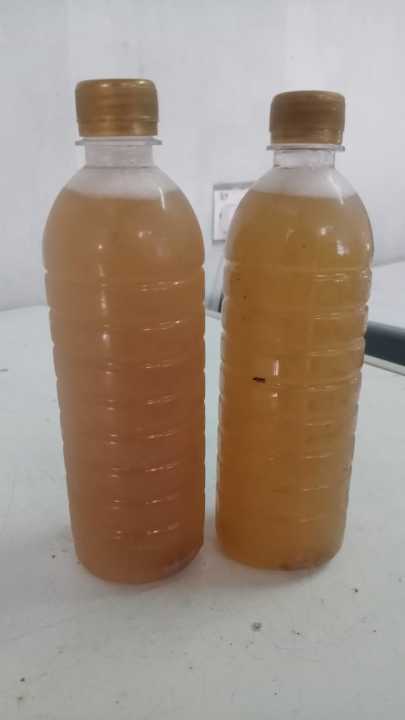 Air Tuak/nira Kelapa Ori 500ml | Lazada