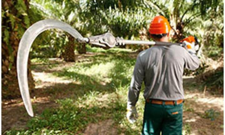 STIHL SICKLE BLADE FOR PALM CUTTER PC70 AND PC75 (ORIGINAL) | Lazada