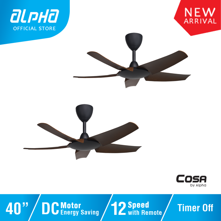 ALPHA Cosa - [Twin Pack] EX9 40 Inch Ceiling Fan with 5 Blades (12 ...