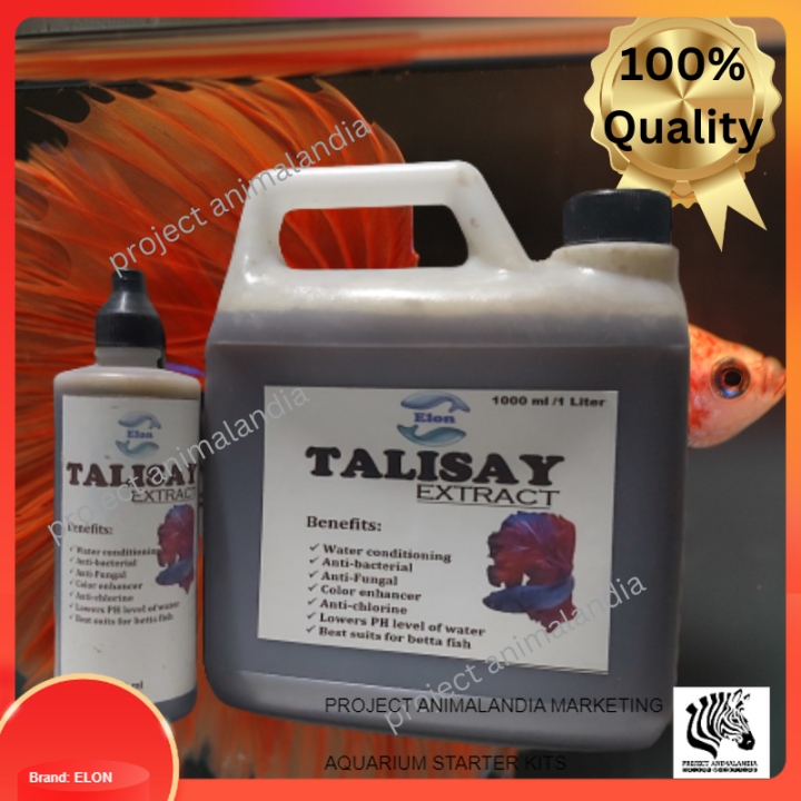 Natural Betta Fish Care: Talisay Extract for Color, Health, and Stress ...