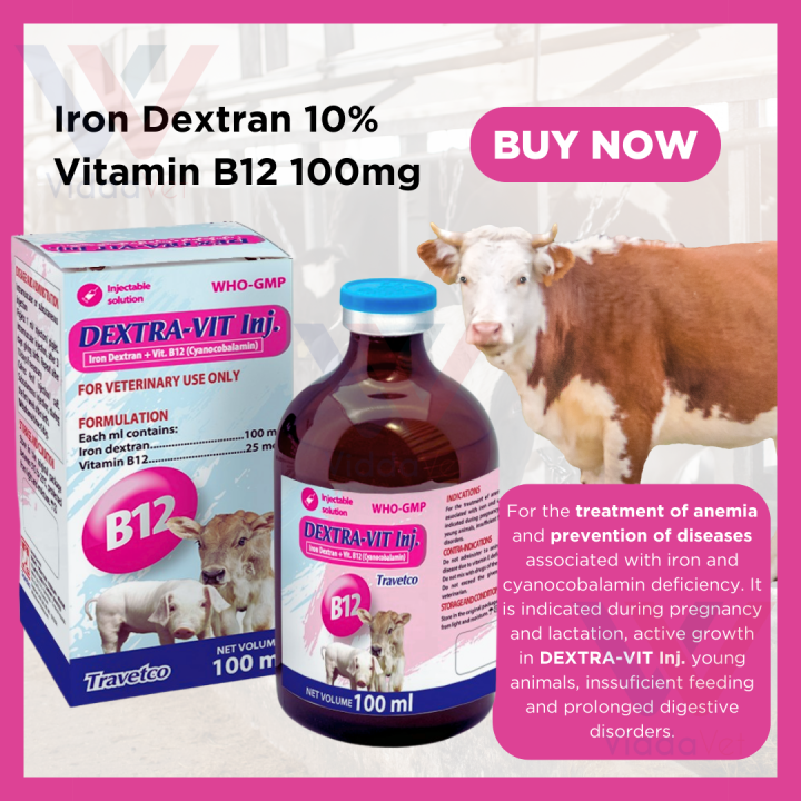 Dextravit B12 Iron dextran for goat iron dextran for goats iron dextran ...