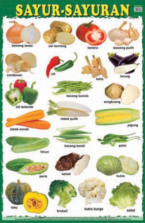 Poster Pendidikan - Sayur-sayuran | Lazada