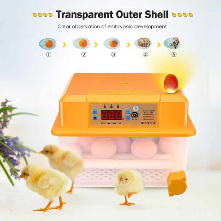 Egg Incubator 16 Automatic Double Electric Mini Automatic Incubator ...
