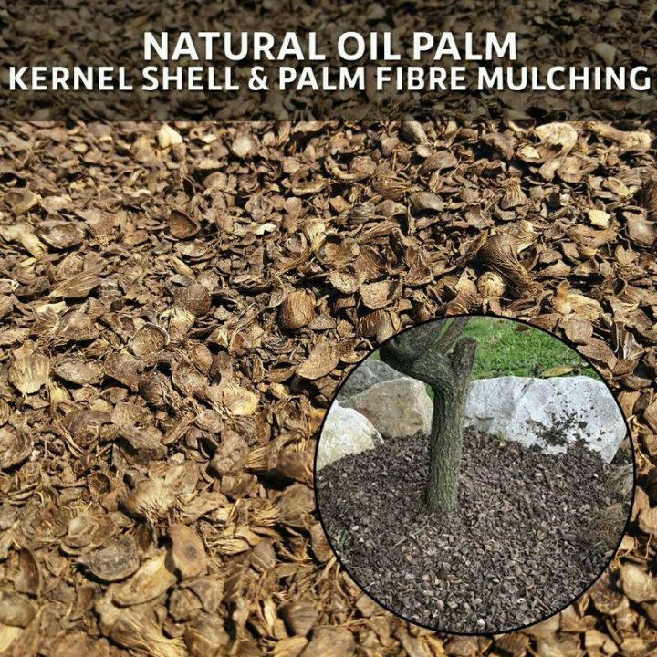Natural Oil Palm Kernel Shell & Palm Fibre Mulching 10L - Garden | Lazada