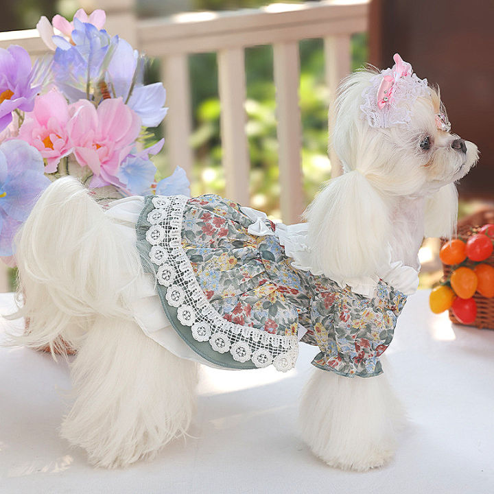 Original High-QualityClothes Spring and Autumn Dog Lolita Floral Dress ...