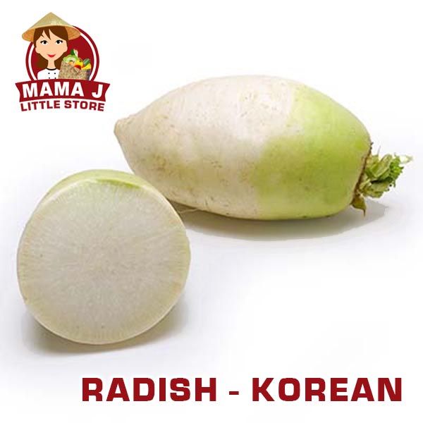 RADISH KOREAN 500g | Lazada PH