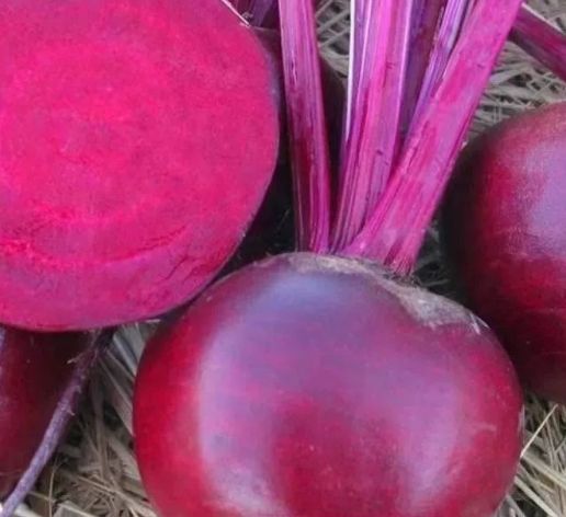 Red beetroot seeds, nori seeds, spring and autumn sowing, beet seeds ...